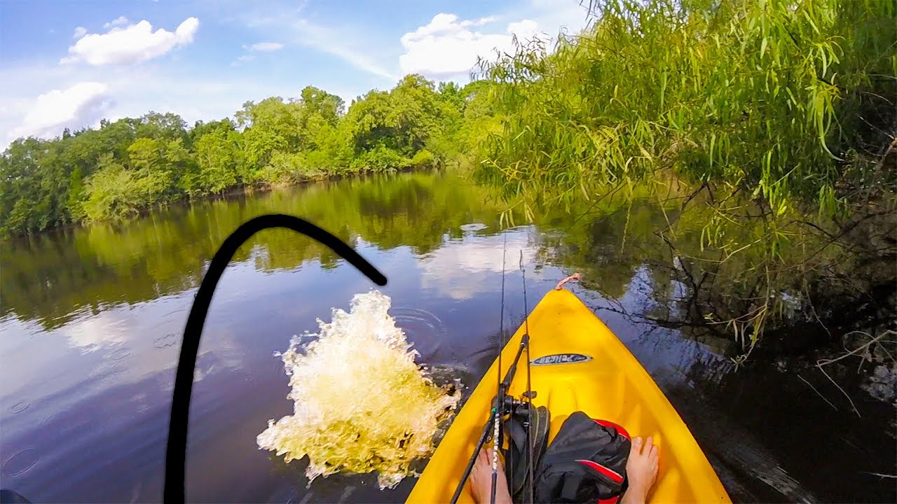 GIANT FISH EXPLODES TOPWATER on HUGE SWIMBAIT! - YouTube