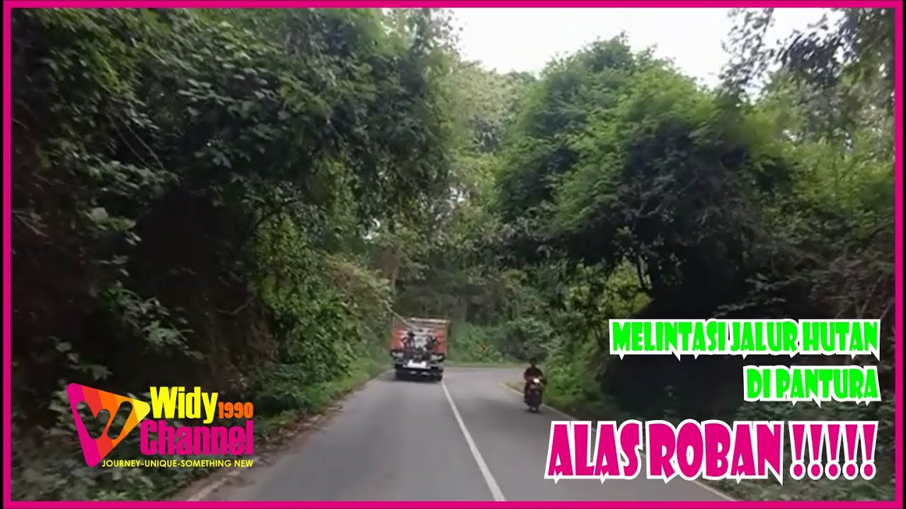Trip seru, perjalanan melintasi hutan di Pantura Alas Roban Batang ...