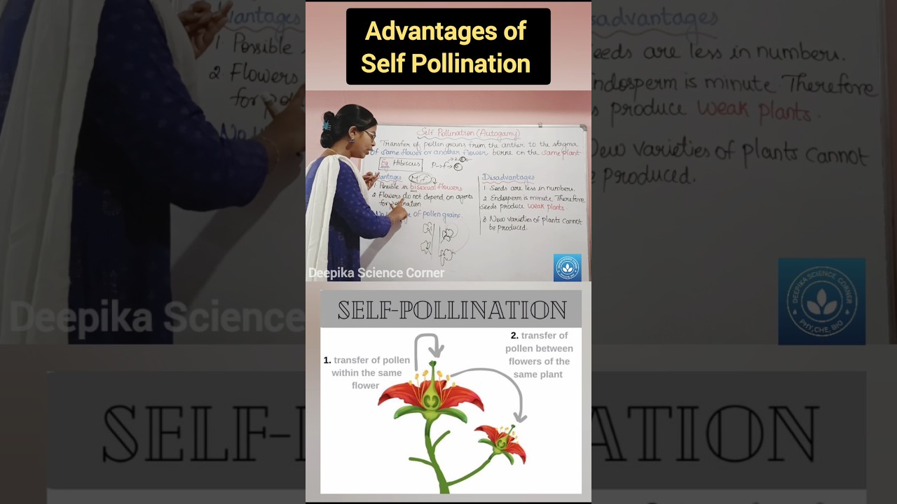Advantages of Self Pollination #pollination #selfpollination # ...