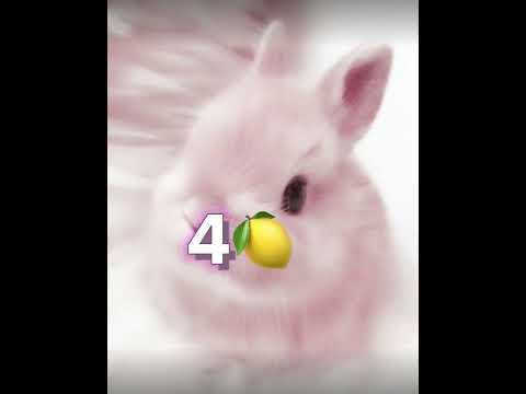 Tt dansları biliyorsan yap💃