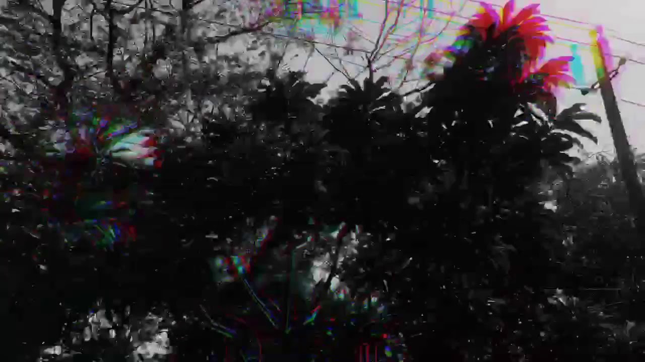 Lamppost by chirkut | CHIRKUT | Mordern Times| Bangla Natok 2018 | Bhai ...