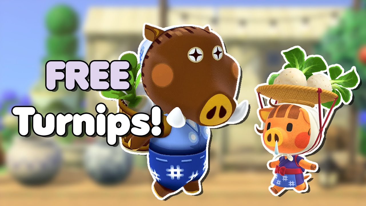 How to get FREE TURNIPS in Animal Crossing! - YouTube