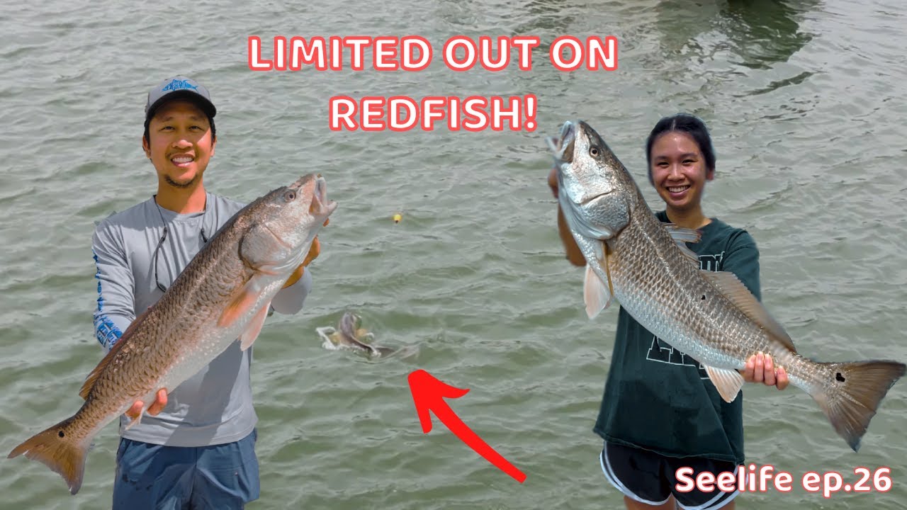 Limited Out on BIG Redfish | Virginia Beach Rudee Inlet Fishing - YouTube