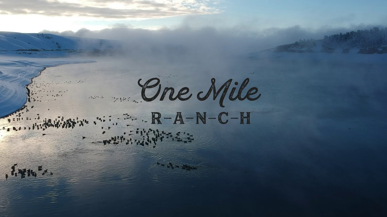 Welcome to the Ranch - YouTube