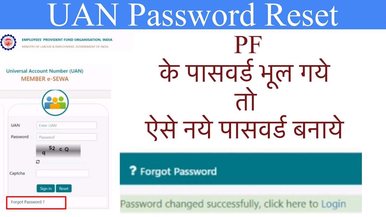 Uan Password Forgot Uan Password Change Process Uan Password Kaise uan-password-forgot-uan-password-change-process-uan-password-kaise