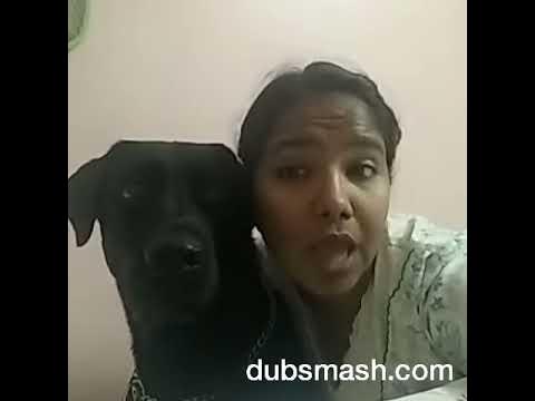 Who let the dogs out! - YouTube