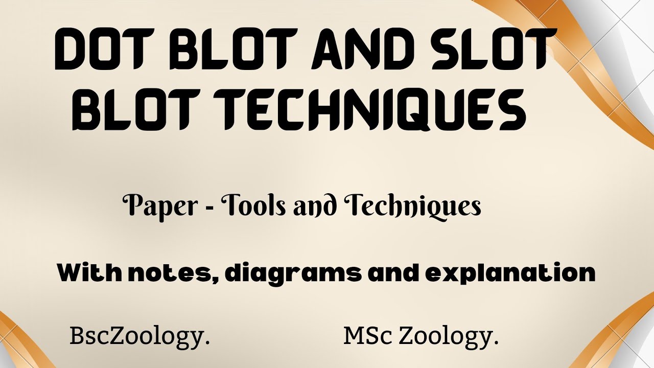 Dot blot and slot blot techniques - Paper Tools and techniques - YouTube