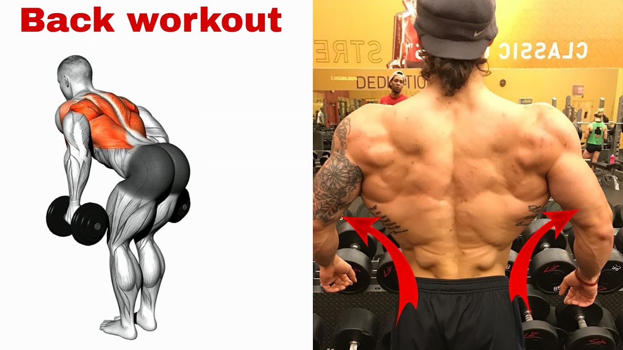 Back Exercies at gym | back workout - YouTube