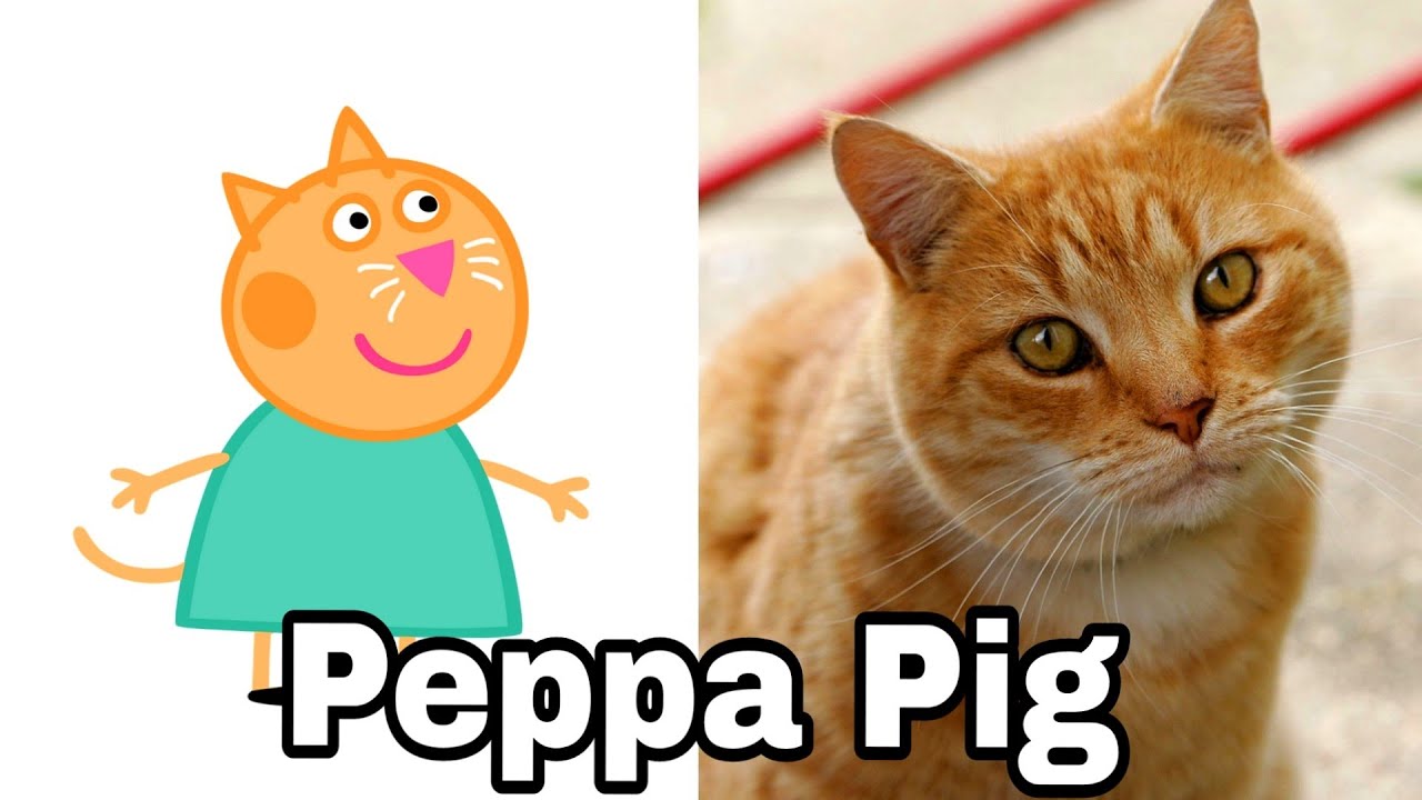 Funny Peppa Pig Characters in Real Life - YouTube
