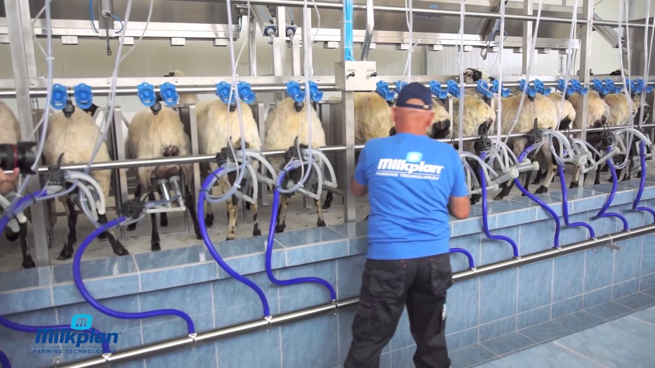 MilkPlan S.A. Corporate Video 2016 - YouTube