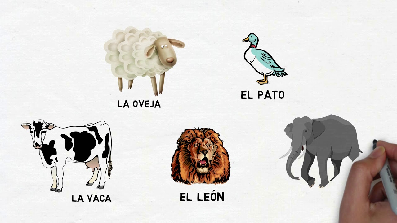 Aprender español / LOS ANIMALES (Fácil y rápido) - YouTube