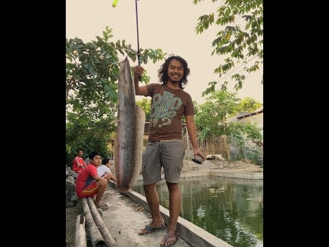 Tingkah konyol Dodit Mulyanto terbaru, bikin geli burungmu !