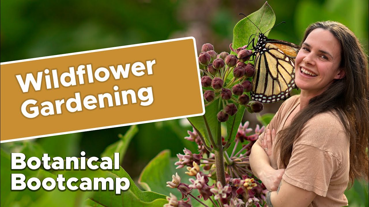 Wildflower gardening! | Bates Botanical Bootcamp - YouTube