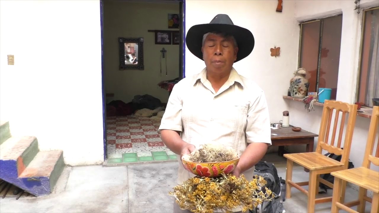 Teotitlán del Valle - gie bguu - YouTube