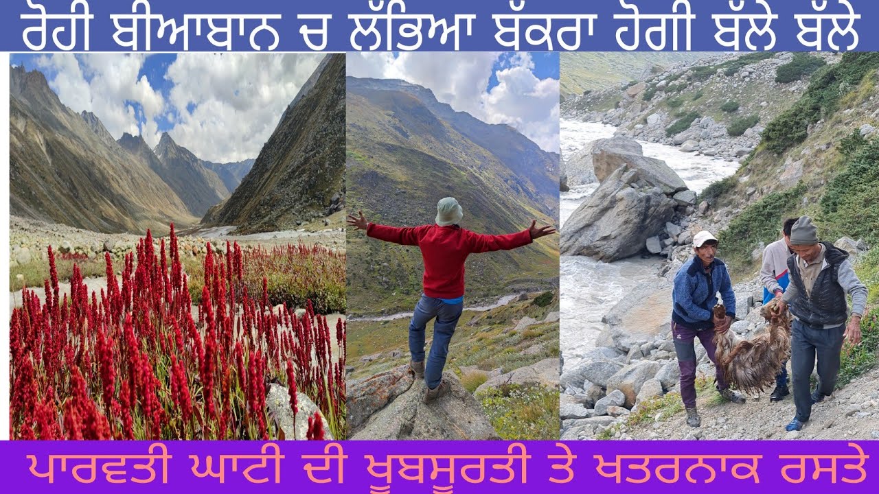 Parvati valley to Pin valley via Pin Parvati Pass Day - 3 - YouTube