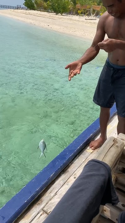 Umpan Baru Jatuh Langsung di Sambar #fishing #mancing #fishinglife - YouTube