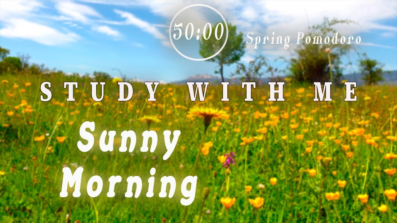 4-HOUR STUDY AMBIENCE 📖🌻 DEEP FOCUS Spring Meadow 🕒Pomodoro Timer 50/10 ...