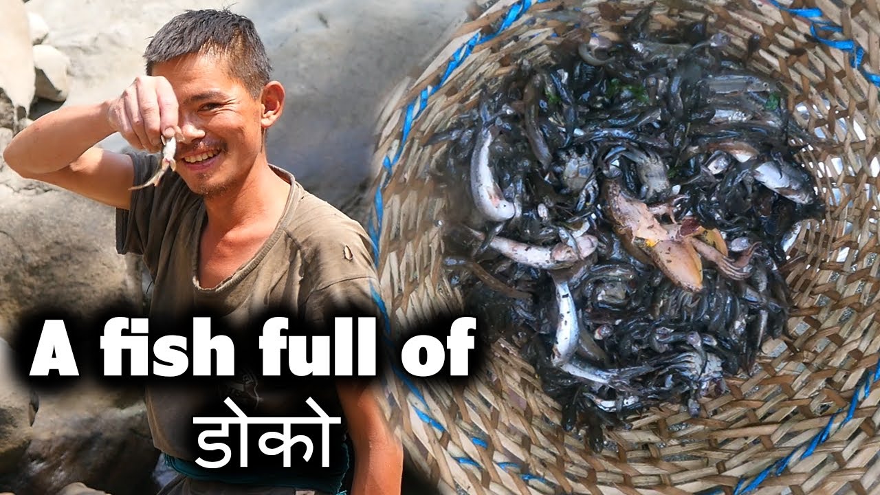 Fishing in salakhu River 🐬 asala fishing river in nepal 🐠 fishing a river 🐟️Fishing in village ...