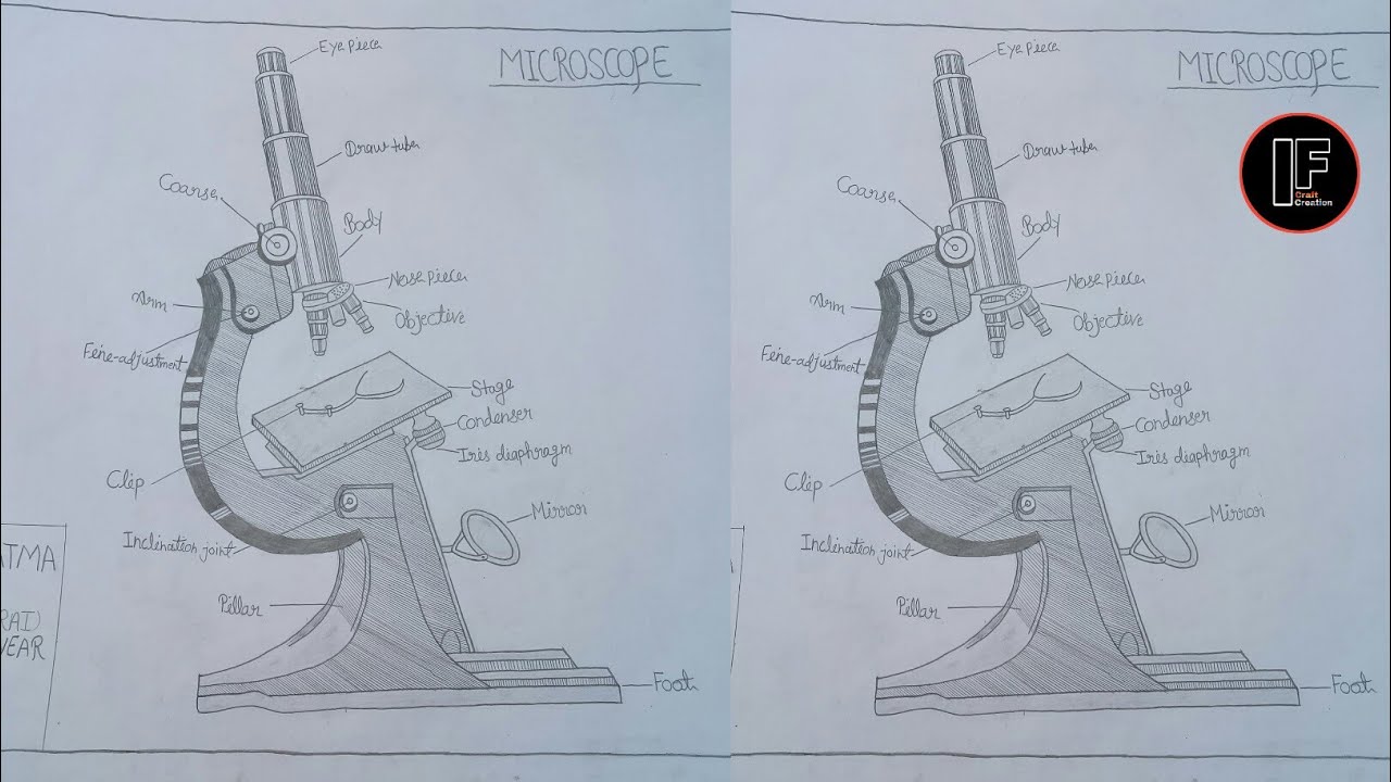 Microscope 🔬 B.S.C.1st Year Botany & Biology 10 Science Chart Paper ...