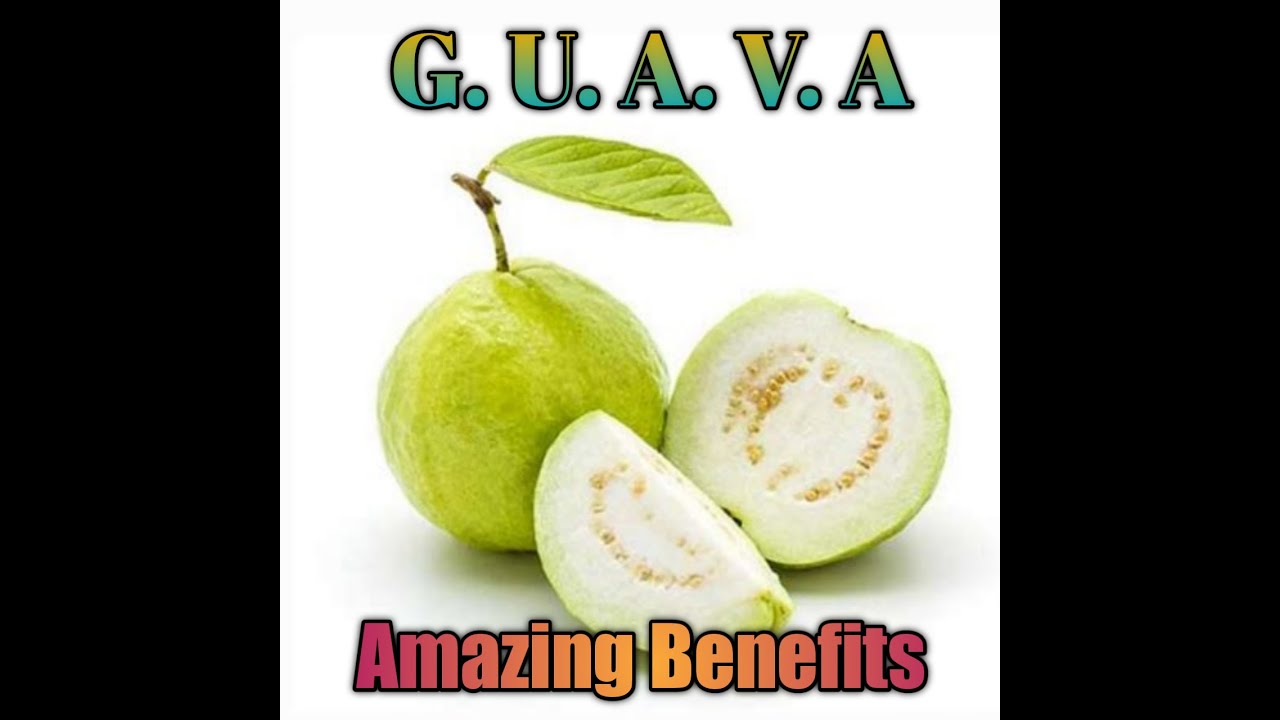 guava and its benefits( mga benepisyo ng bayabas alamin dito - YouTube