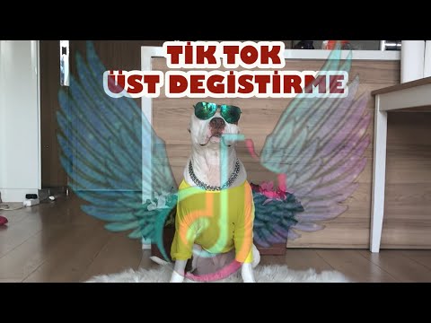 KÖPEĞİMLE ÜST DEĞİŞTİRME VİDEOSYU YAPTIM