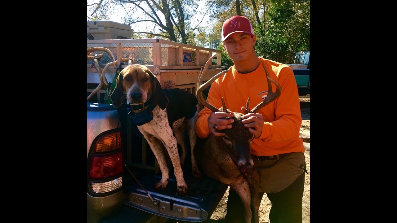 SC Deer Dog Drives 2016! We visit with the Blackville Hunt Club! - YouTube