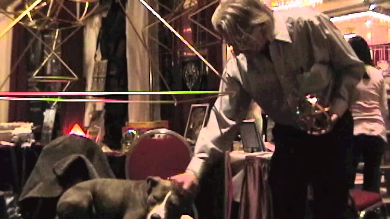 The Pyramid Man Nick Edwards Star of Conscious Life Expo 2012 - YouTube