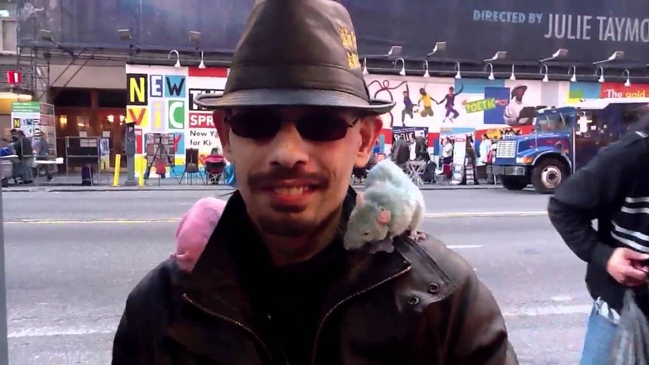 Rat King in Times Square NYC - YouTube