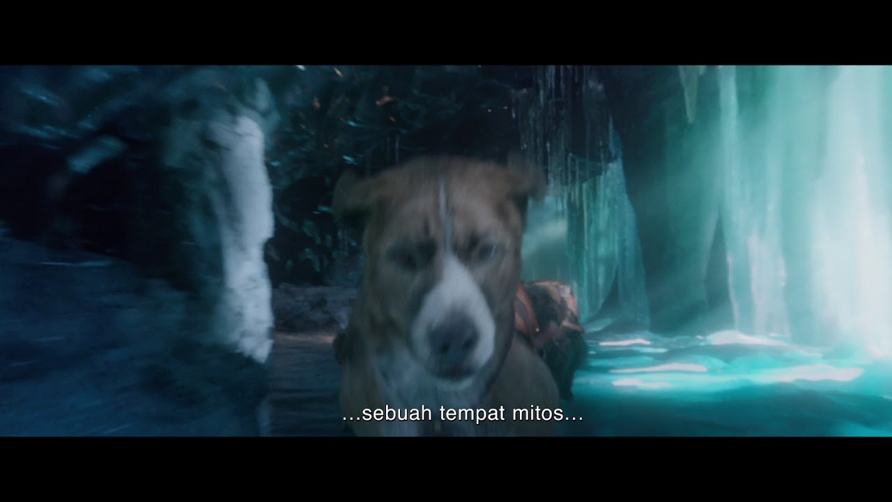 The Call of the Wild | Gold - YouTube