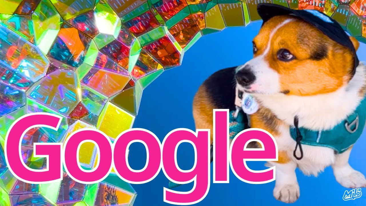 Milo’s Adventure at Google’s Bay View Campus and the Gradient Canopy in ...