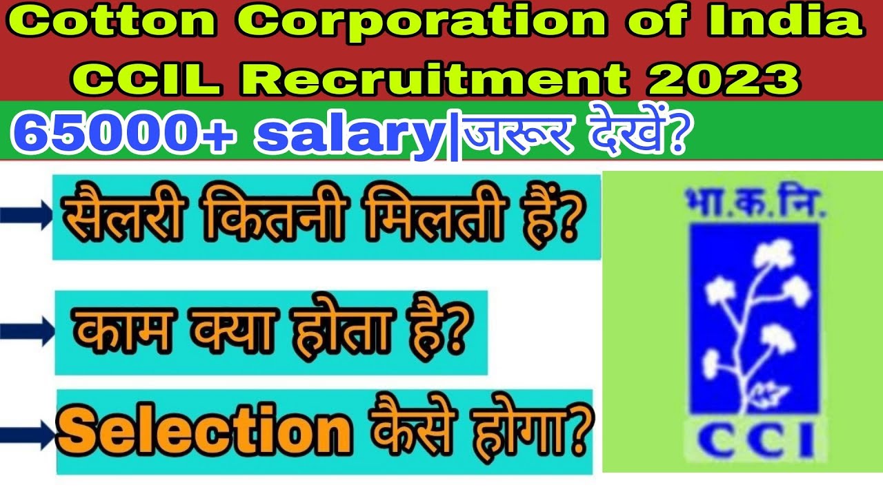 Cotton Corporation of India CCIL Recruitment 2023| CCIL selection ...