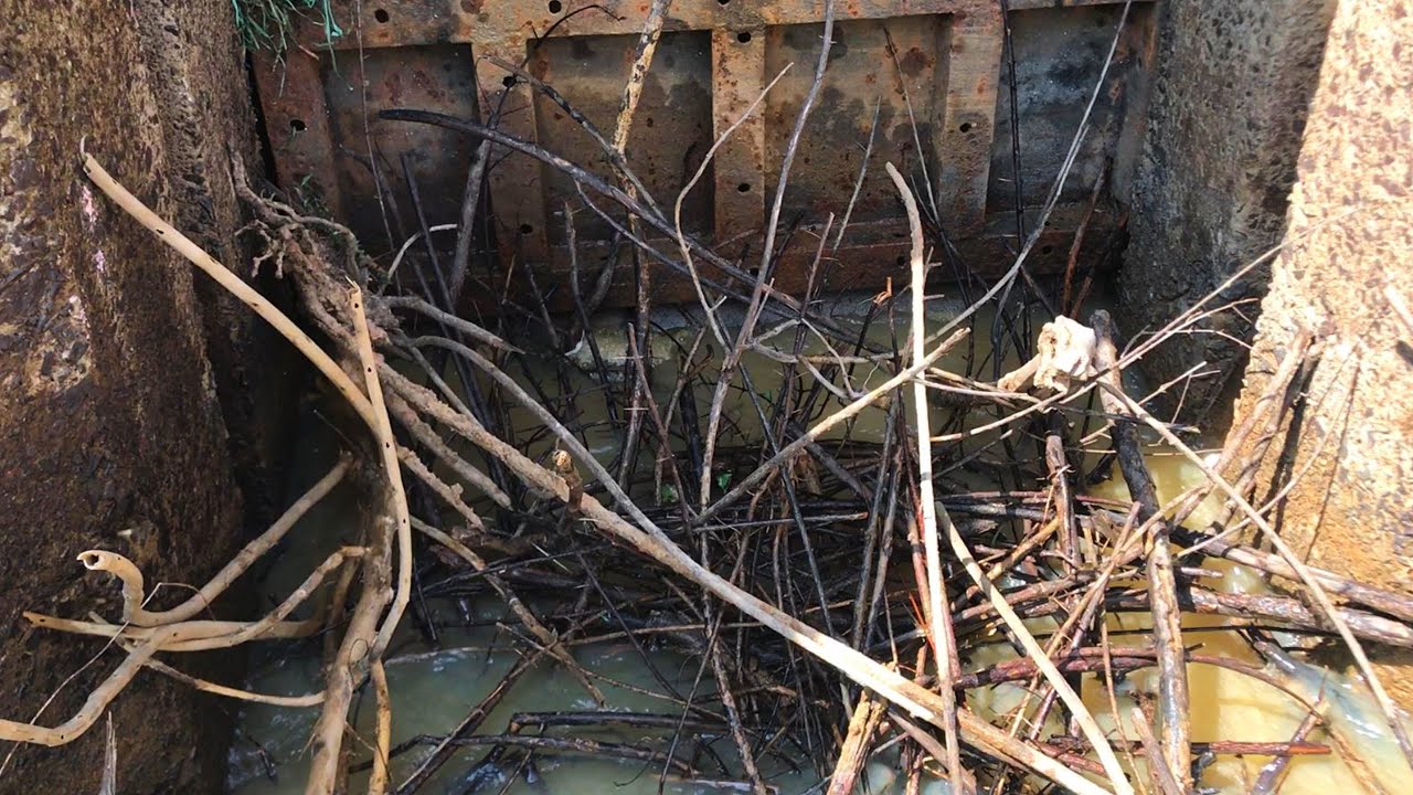 Unclogging Drain Pipe Cleaning Rubbish In Pipe Drain - YouTube