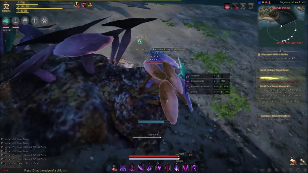 Black Desert Online: How to Find Coral Pieces - YouTube