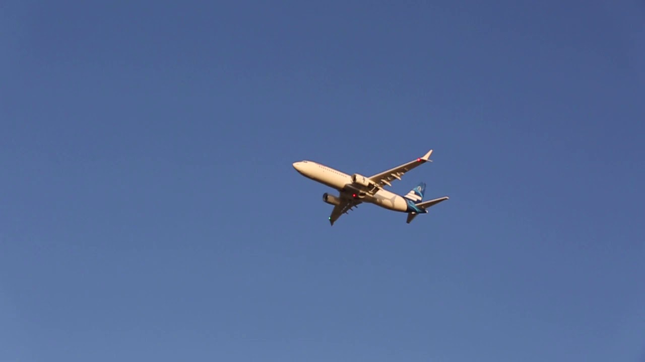 Freewing 737 BEACH FUN - YouTube