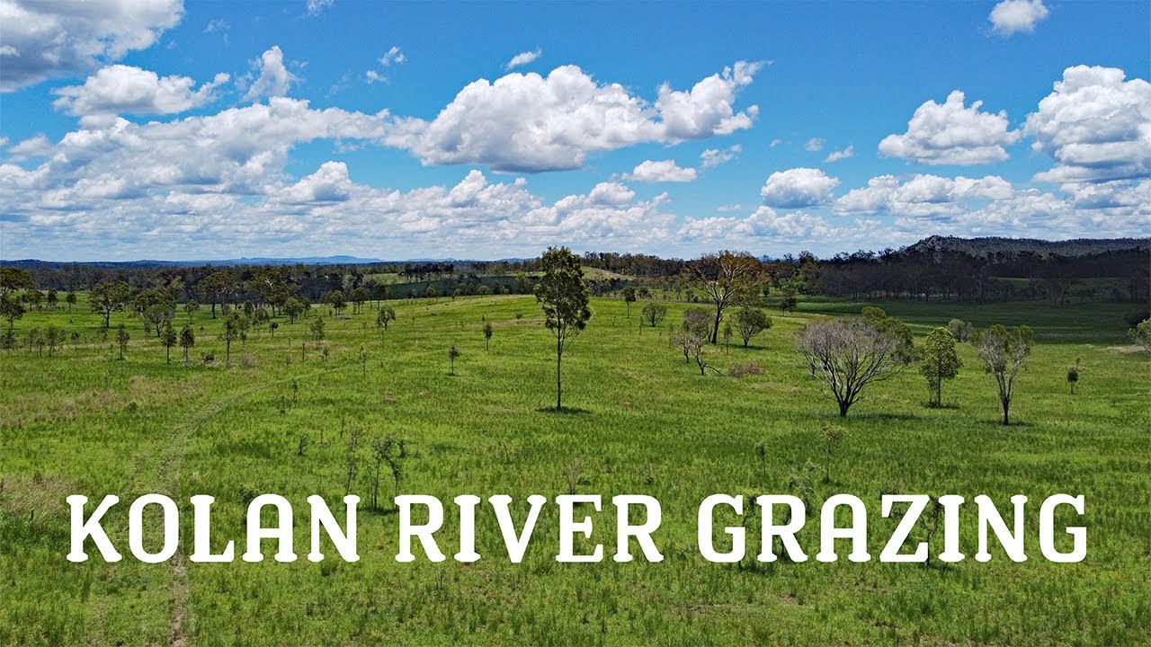 Kolan River Grazing, Bundaberg District, Qld - YouTube