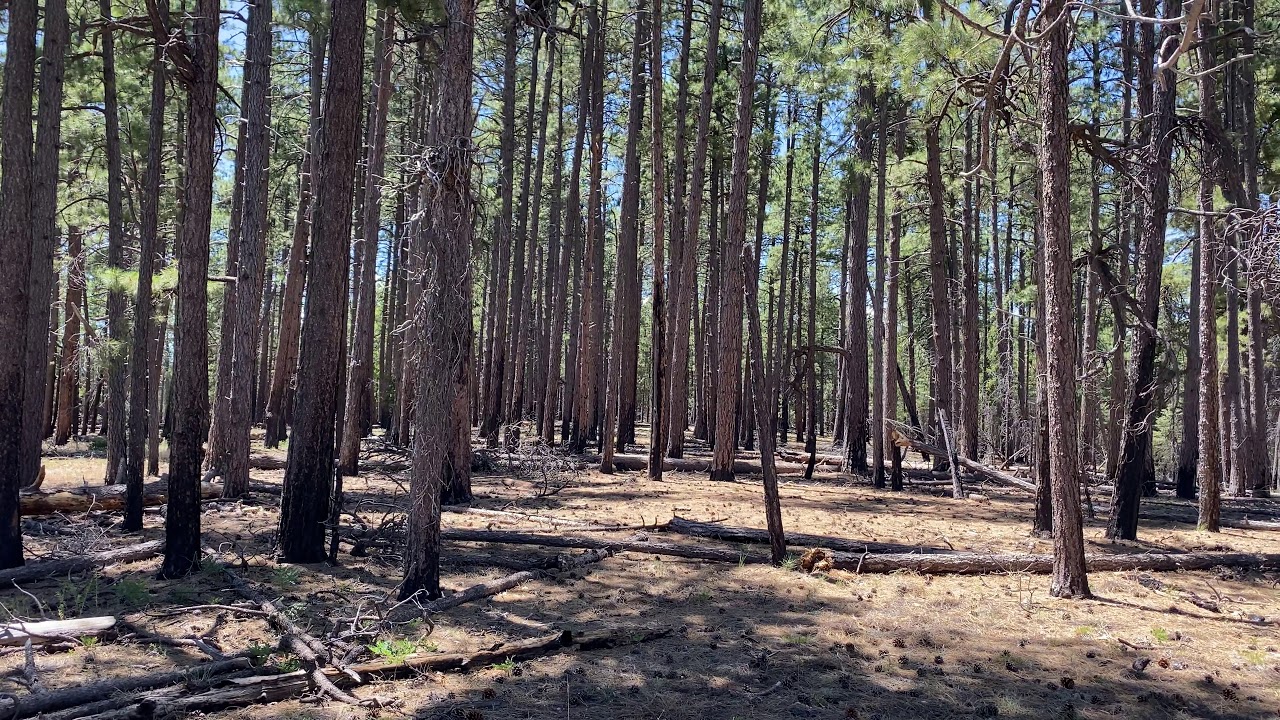 ADV | Buckhead Ridge - Progress, But Not Far Enough - YouTube