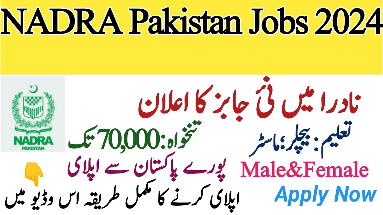 Latest Nadra Pakistan Jobs 2024 - Nadra Jobs 2024 Online Apply ...