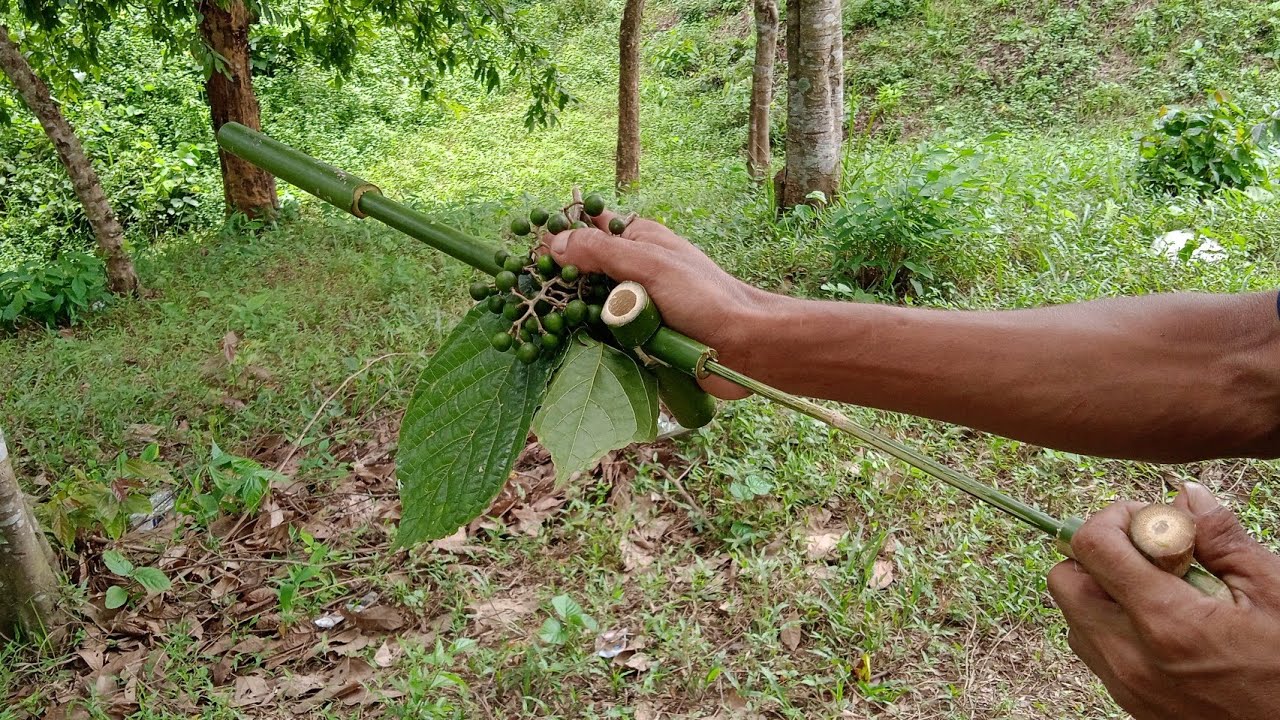 Biodegradable Bamboo Toy Gun for Children👶👧👦 - YouTube