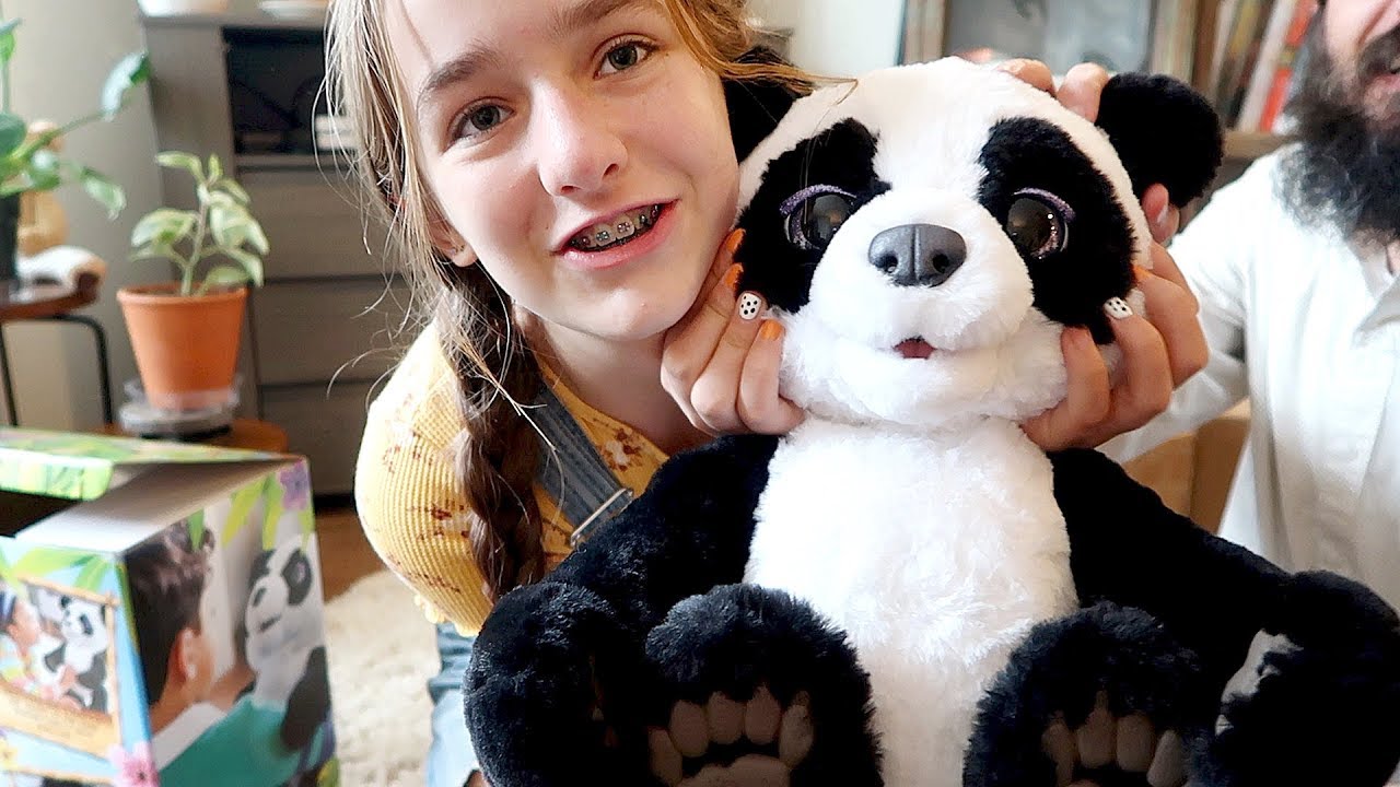 HASBRO Sent Me a Furreal Plum, Baby Alive Baby Shark by Pink Fong, and ...