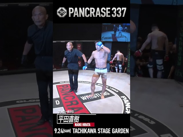 9.24 PANCRASE337 フェザー級 平田直樹 #shorts | pancrase_mma｜YouTubeランキング