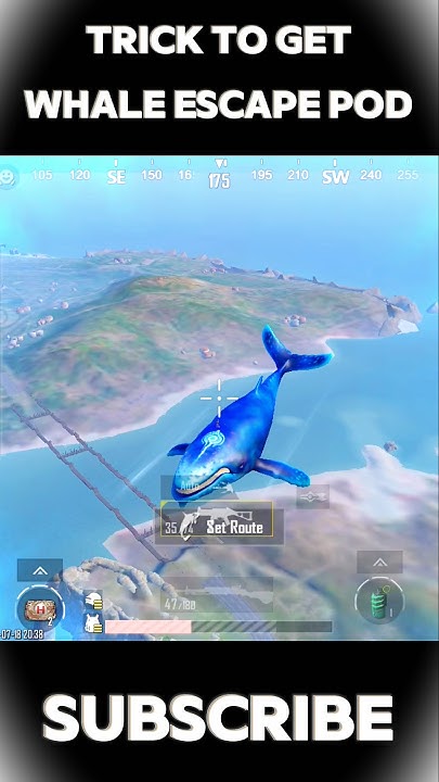 BGMI NEW WHALE ESCAPE POD 👌 #bgmi #shorts #pubg - YouTube