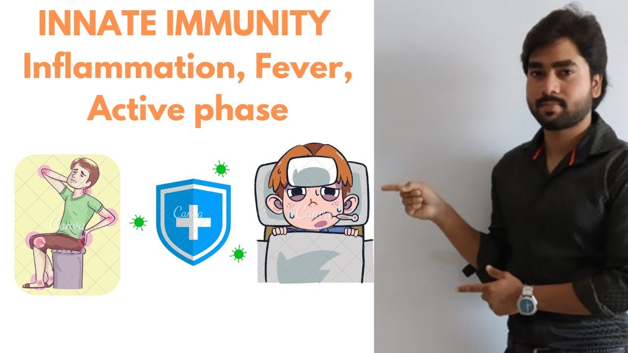 IMMUNITY | INNATE IMMUNITY | Inflammation | Fever | Active phase (By ...