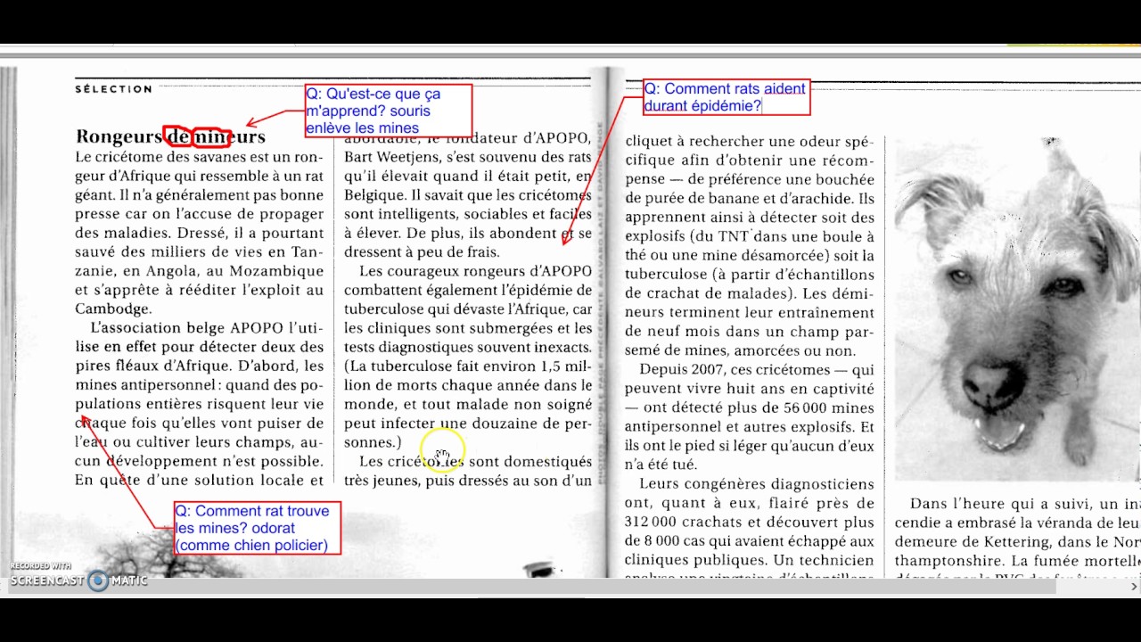 Se questionner (texte courant) - YouTube