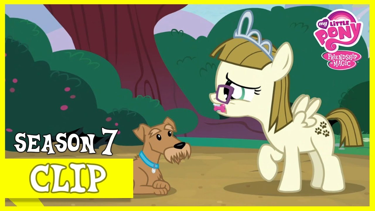 Troubles with Zipporwhill and Ripley (Forever Filly) | MLP: FiM [HD ...