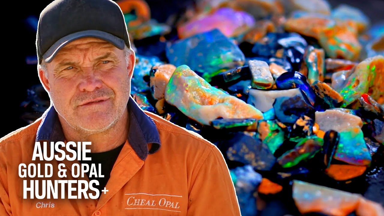The Cheals Uncover STUNNING Black Opal Boosting Their Season to ...