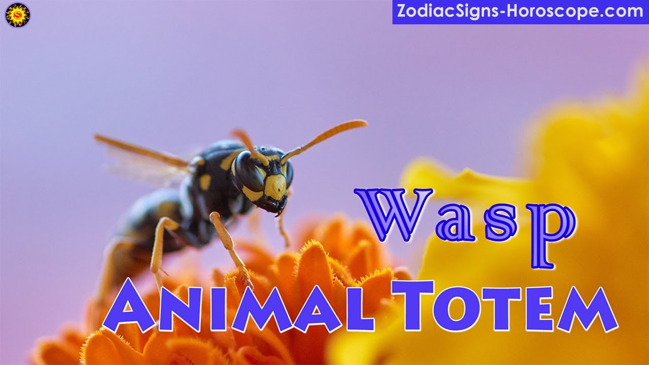 Wasp Animal Totem - Wasp Spirit Animal Meaning, Symbolism, Dream of the ...