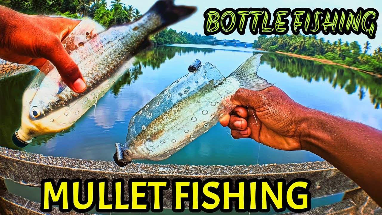 Bottle fishing techniques | Mullet fishing | How To Catch Mullet Fish ...