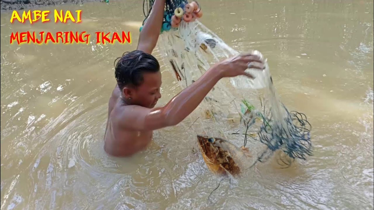 Menjaring ikan di sungai-traditional fishing - YouTube