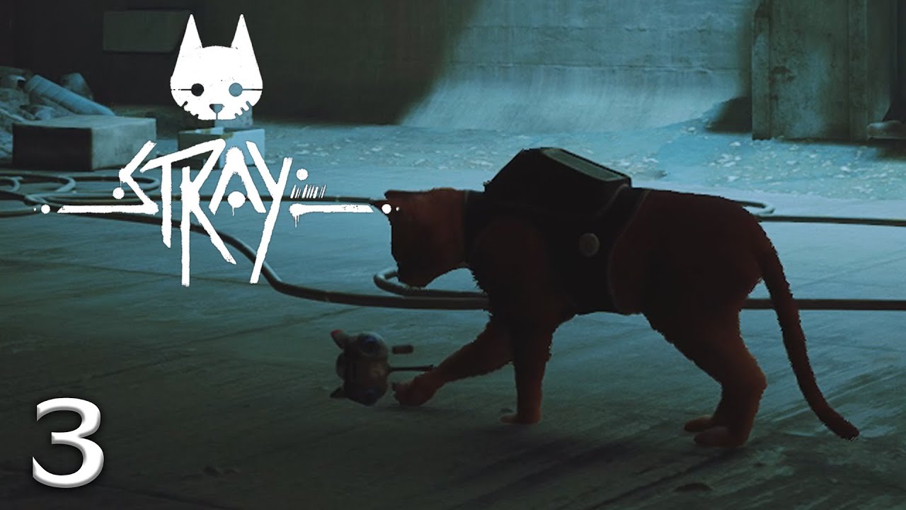 ครอบครัวไม่ทิ้งกัน - Stray #3 - YouTube