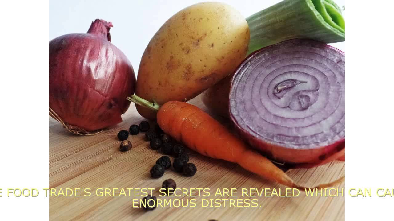 The Autoimmunity Bible & Norton Protocol Review - YouTube